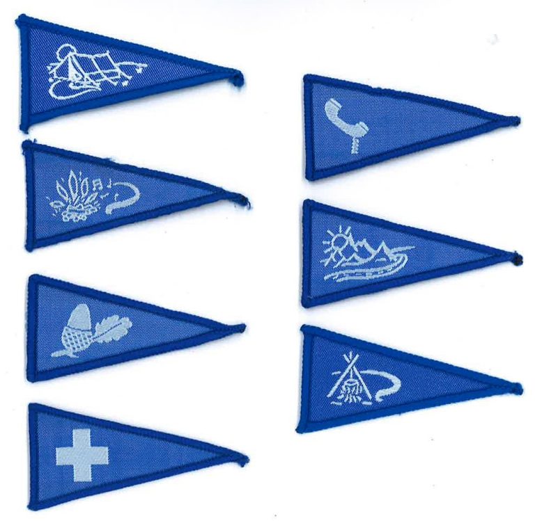 Guide Patrol Interest Pennants - Girlguiding North East England
