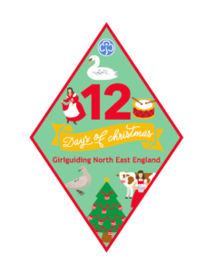 Challenges and Badges - Girlguiding North East England
